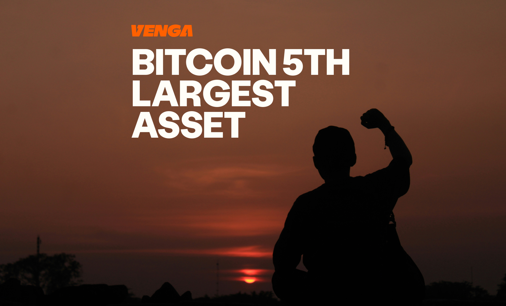 Bitcoin briefly became the 5th largest asset in the world!